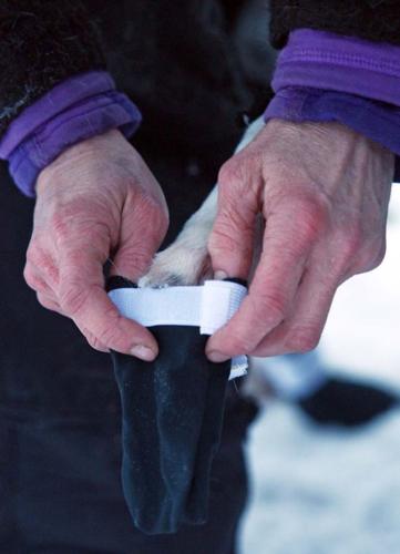 Zirkle wins Two Rivers Solstice 100 race | Local/Community | newsminer.com