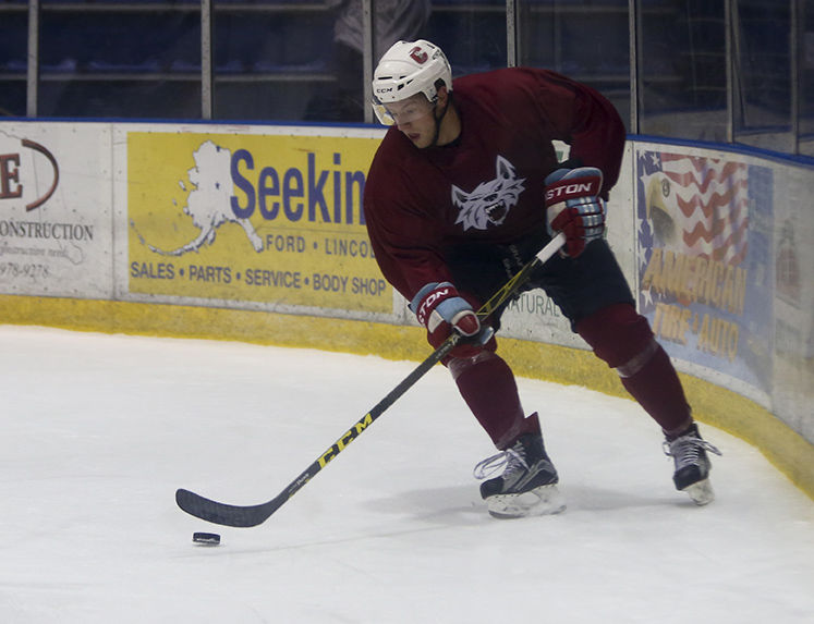 Newcomers look for playing time with Ice Dogs | Ice Dogs | newsminer.com