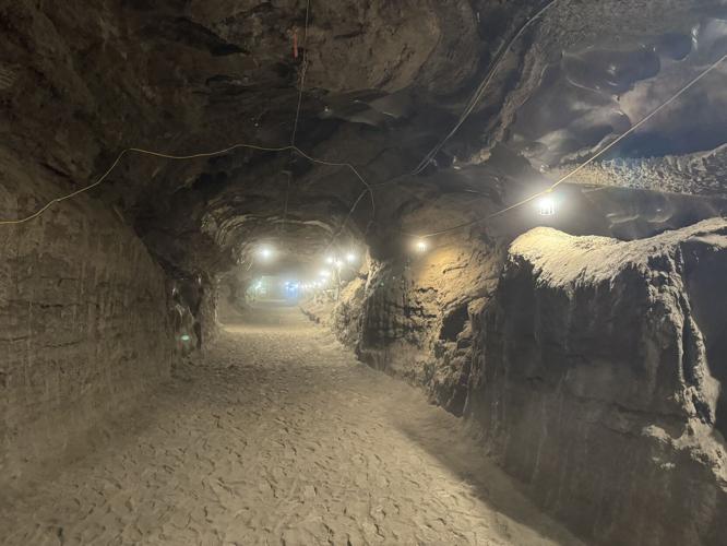 These ancient microbes survived the Ice Age — now the U.S. military ...