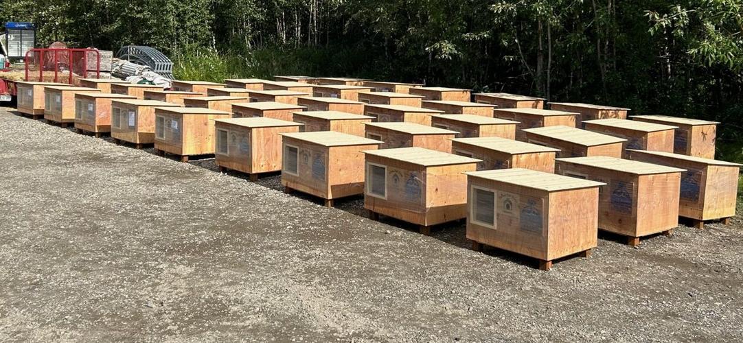 Straw For Dogs provides shelter for pet dogs | Kris Capps | newsminer.com