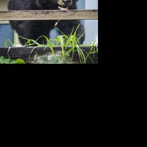 Alaska Daily Life | Featured | newsminer.com