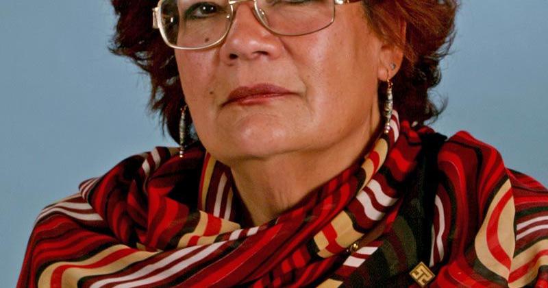 Q&A with Borough Assembly Seat B candidate Jo Ann Borges | Local News ...