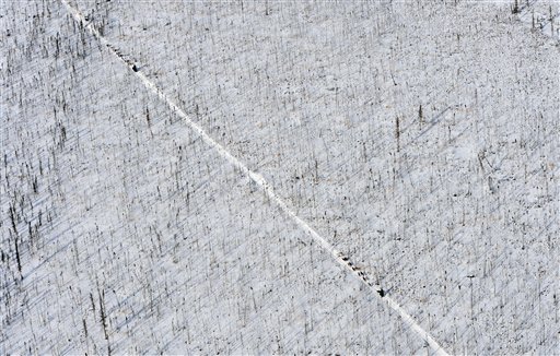 Iditarod - Rohn | Iditarod | newsminer.com