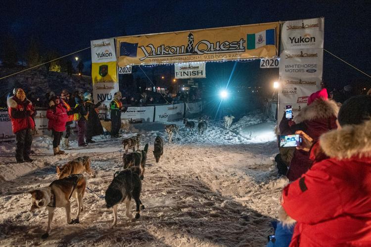 Michelle Phillips is second musher to reach Whitehorse in 2020 Yukon ...