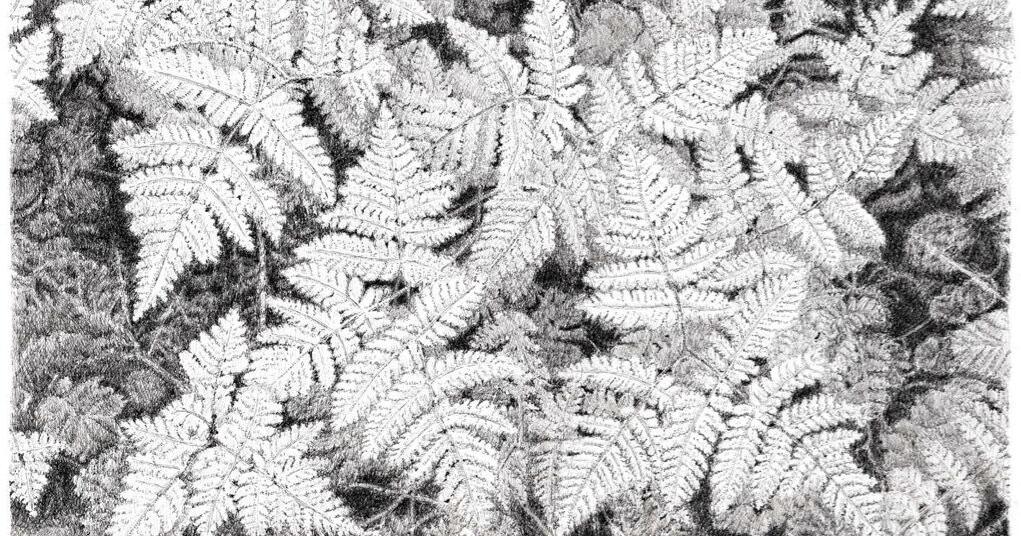 Fairbanks Summer Arts Festival debuts artwork by Ray Bonnell | Latitude ...