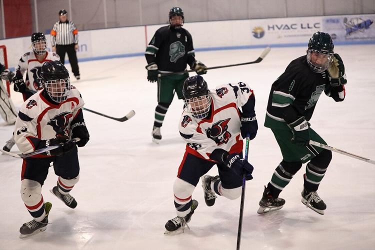 Interior high school hockey roundup | High School | newsminer.com
