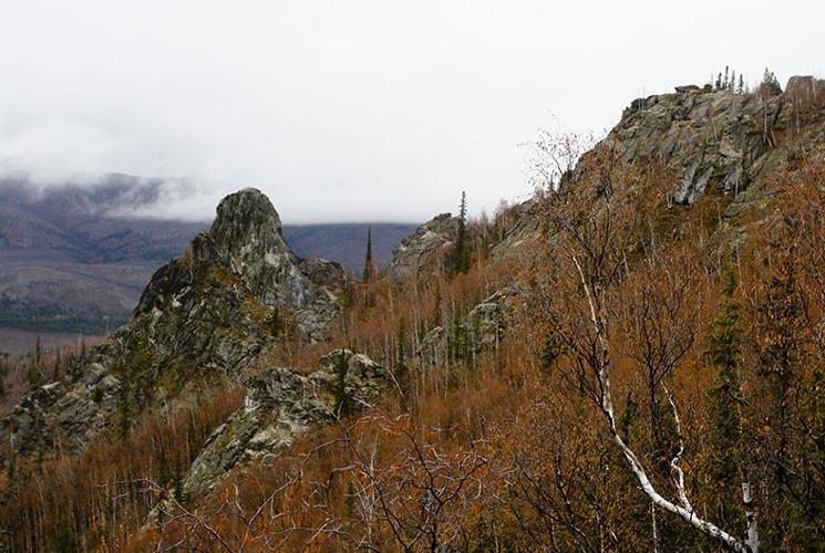 Five Fairbanks area hiking trails from easy to grueling | Visitors ...