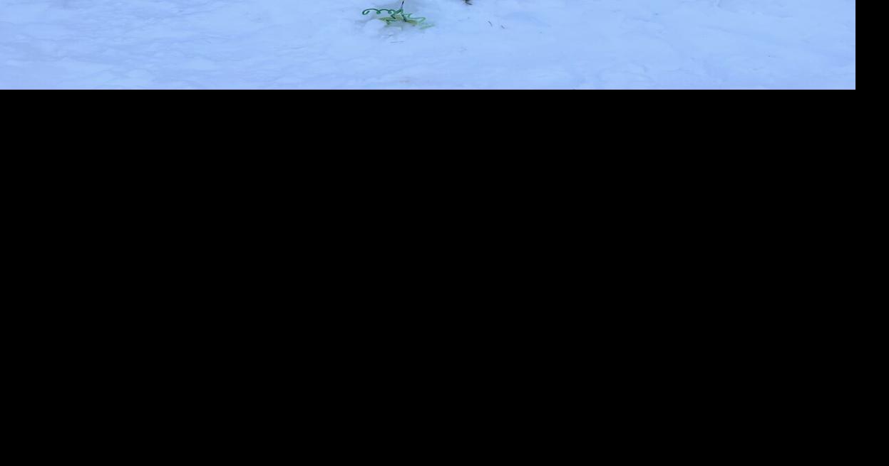 Brushing Off The Snow | | newsminer.com