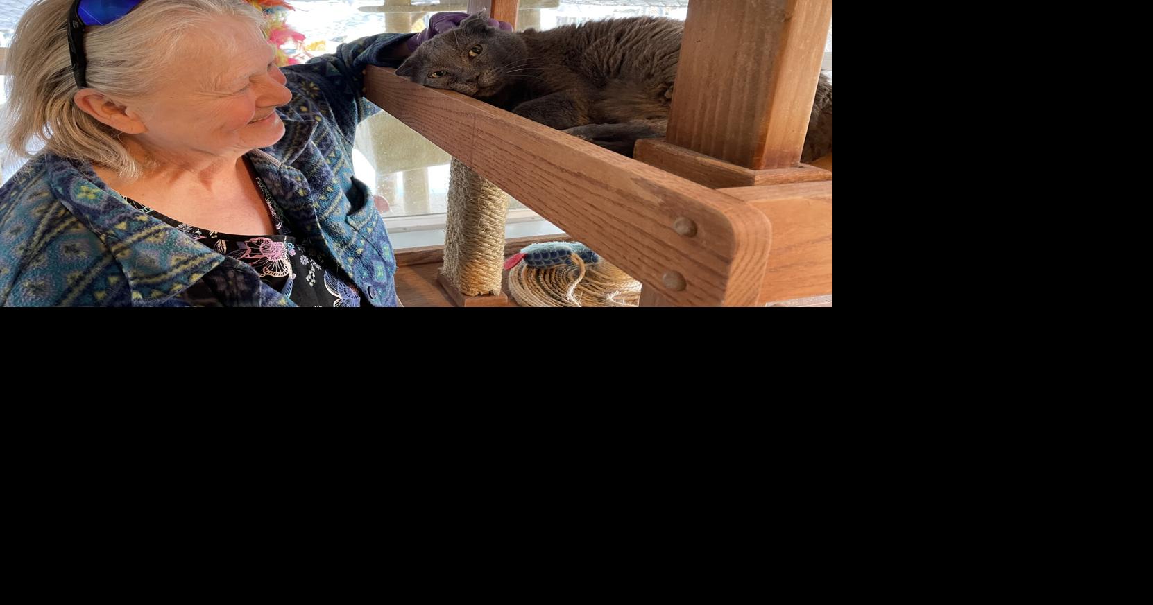 Donna Buck-Davis: A voice for voiceless animals | Local News ...