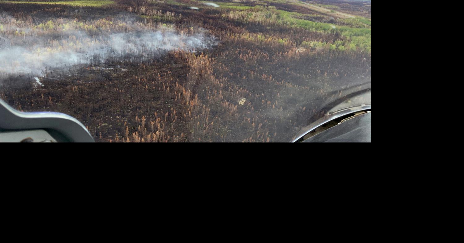 Scientific evidence found of overwintering ‘zombie fires’ | Outdoors ...