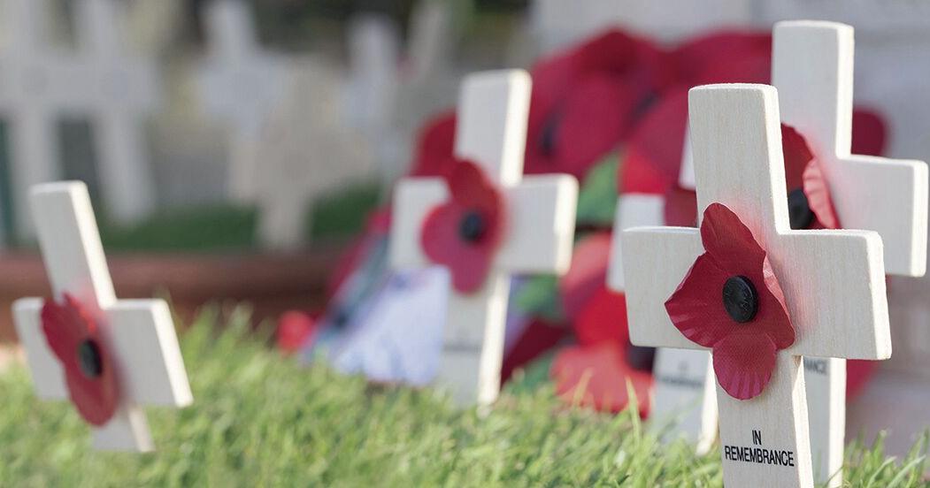 Rep. Stapp, Sen. Dunbar prefile bill for Alaska Veterans' Poppy Day ...