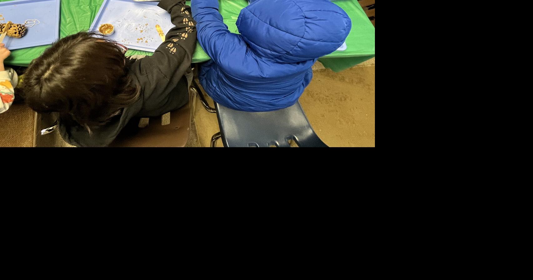 Chirping in for a songbird's Thanksgiving meal | Our Town | newsminer.com