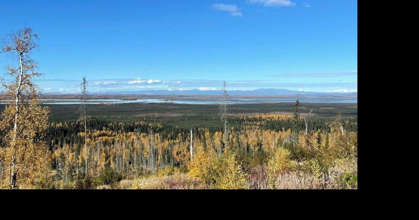 Public urged to stay off logging roads during spring breakup | Alaska ...