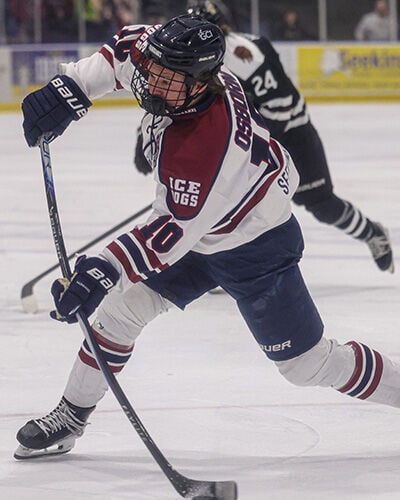 Ice Dogs Luke Osborn, Dub Eunice commit to UAF and UAA | Ice Dogs ...