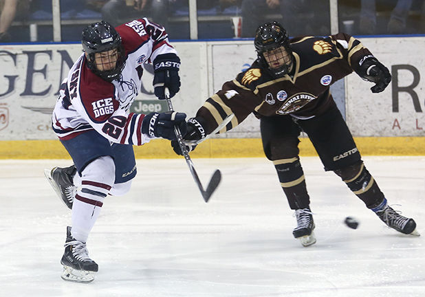Ice Dogs jump on Brown Bears early, wrap up regular season tonight ...