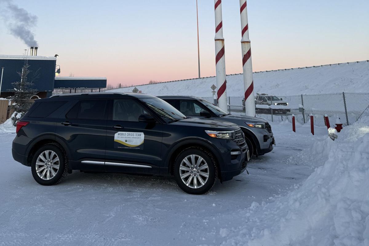 Mobile Crisis Team fields an ever-growing number of calls | Local News ...