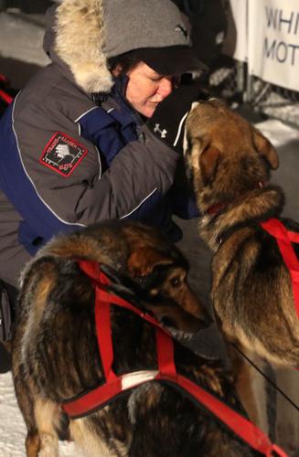 Youngest Quest musher finishes 13th, ready for more | Local News ...