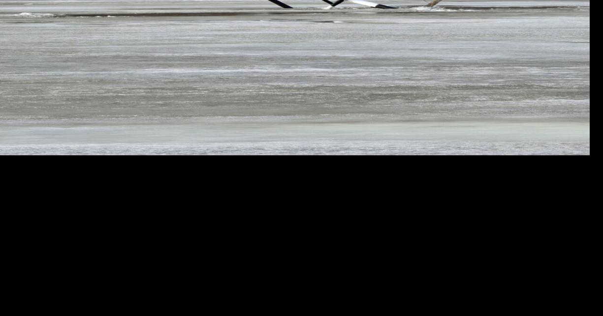 Nenana Ice Classic 2025 jackpot is $211,267 | Alaska News | newsminer.com