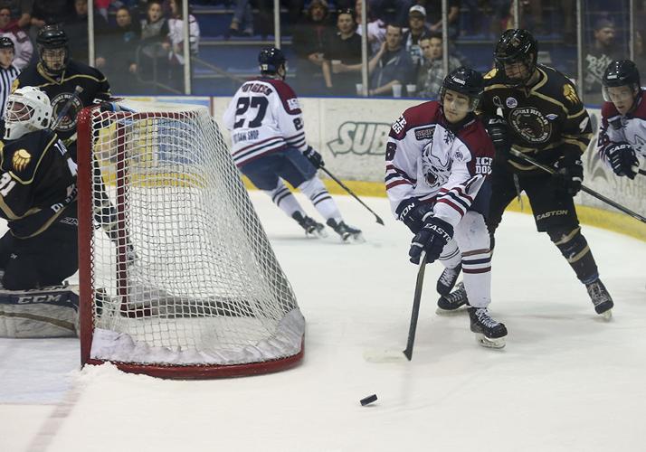 Ice Dogs jump on Brown Bears early, wrap up regular season tonight ...