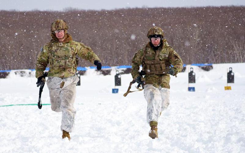 Arctic-focused US Army unit joins forces with Japanese soldiers on ...