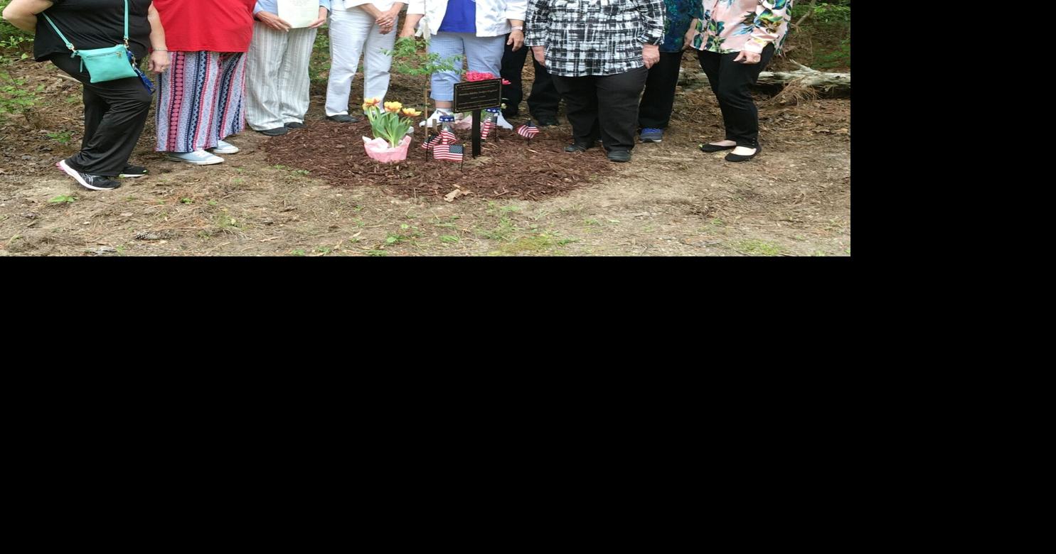 DAR tree memorial at James Monroe Birthplace grows | Living ...