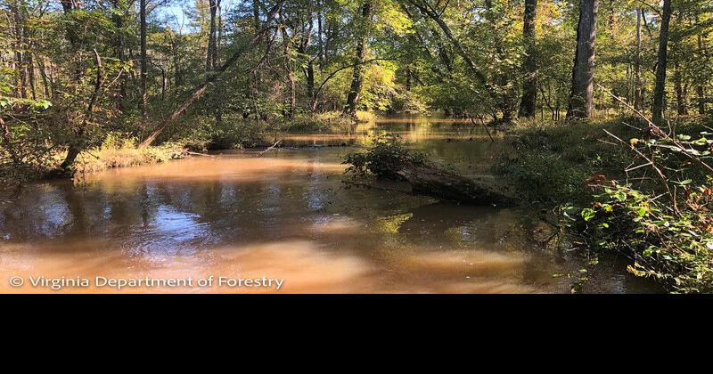 Charlotte State Forest opens for recreational use | Arts ...