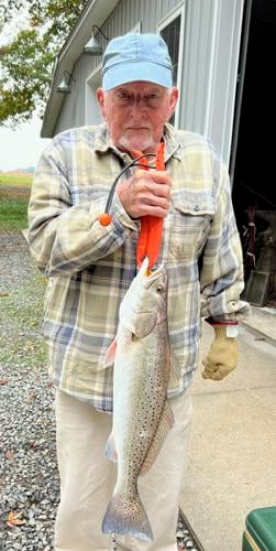 Raymond Winfield Shepherd | Obituaries | newsontheneck.com