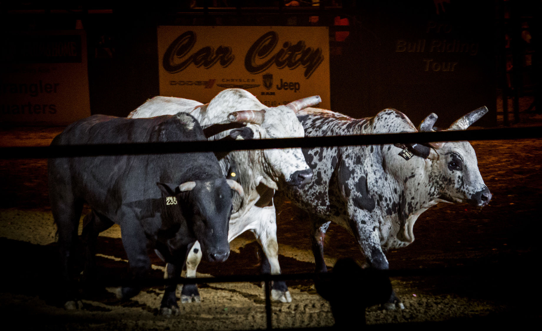 2025 Amped Up Pro Bull Riding Tour Finals kicking off at Civic Arena ...