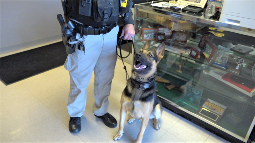 Sheriff's office welcomes new K9 units | Public Safety | newspressnow.com
