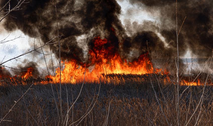 Sugar Lake fire burns over 200 acres but no homes destroyed, cause of ...