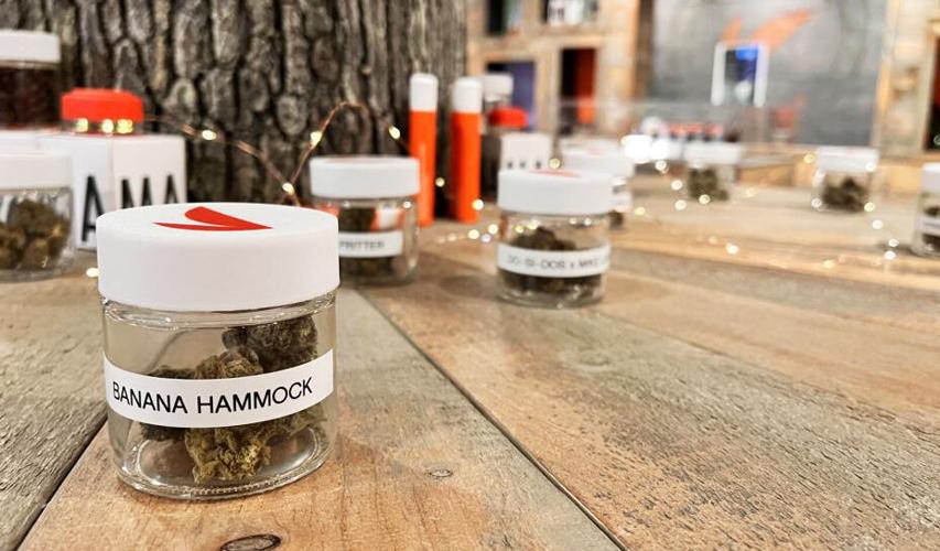 St. Joseph will not tax marijuana sales right away | Government ...