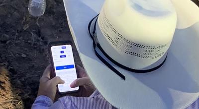 Maryville residents create calf tracking app | Local News ...