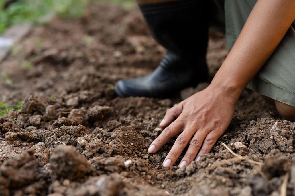 Field day looks at new soil moisture data tools | | newspressnow.com