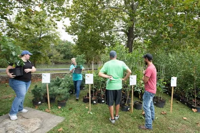 MDC invites public to Arbor Day event April 25 in St. Joseph | Outdoors ...