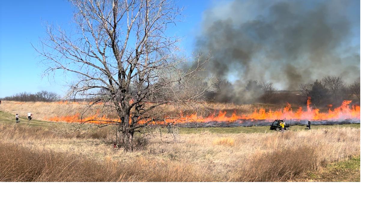Missouri Western students manage prescribed fire | Education ...