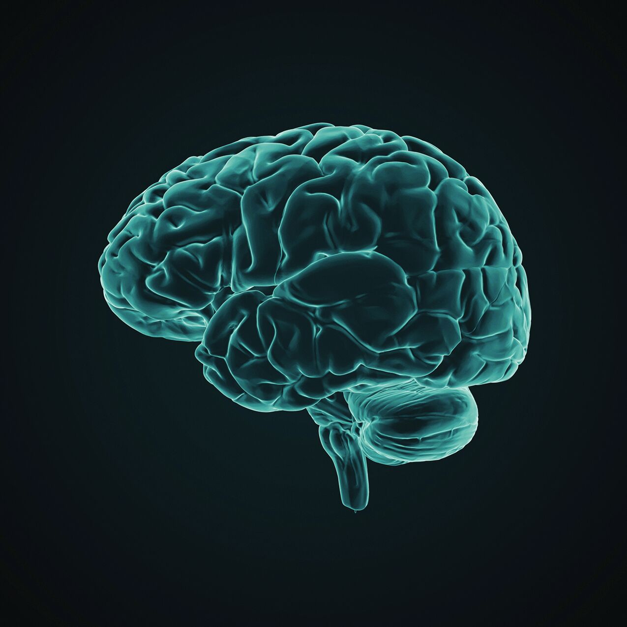 Risks for Alzheimer's and dementia | Did you know? | newspressnow.com
