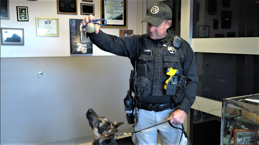 Sheriff's office welcomes new K9 units | Public Safety | newspressnow.com