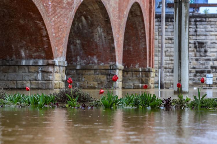 river flooding cincinnati