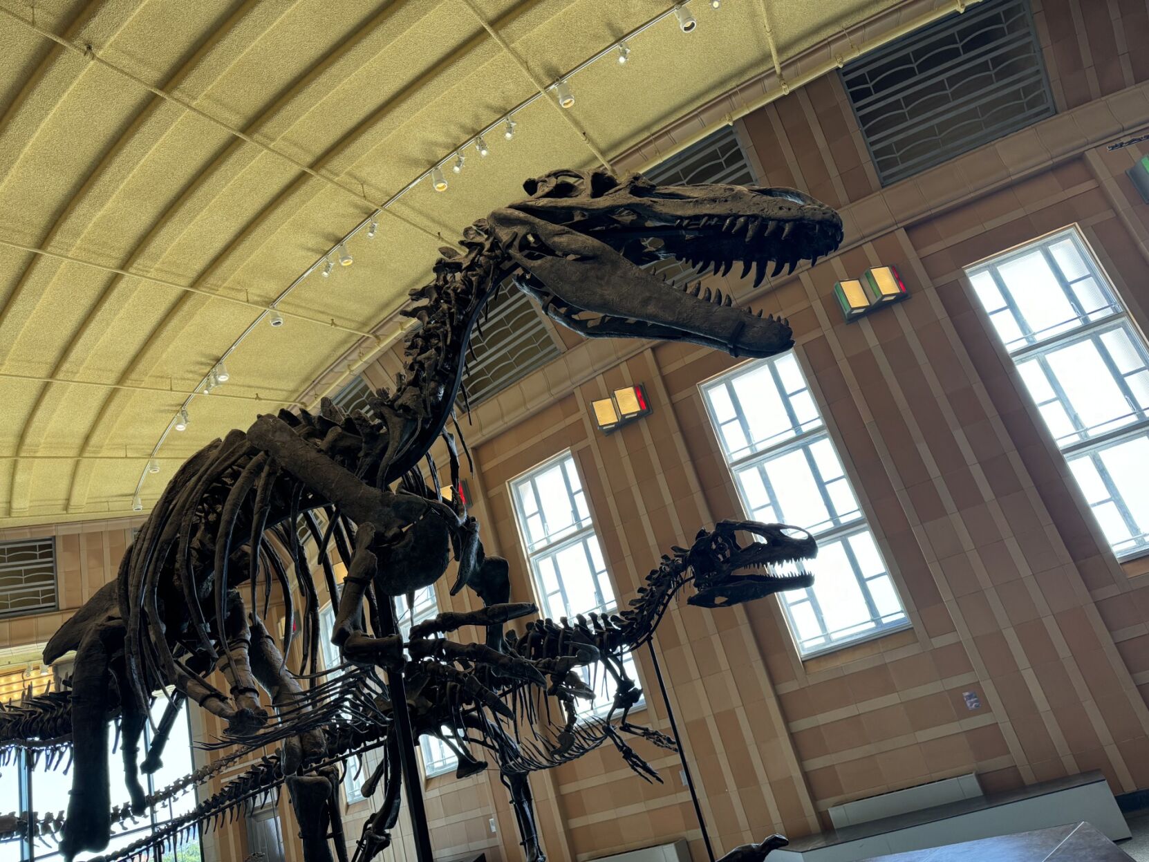 Inside Cincinnati’s Museum Center | Features | newsrecord.org