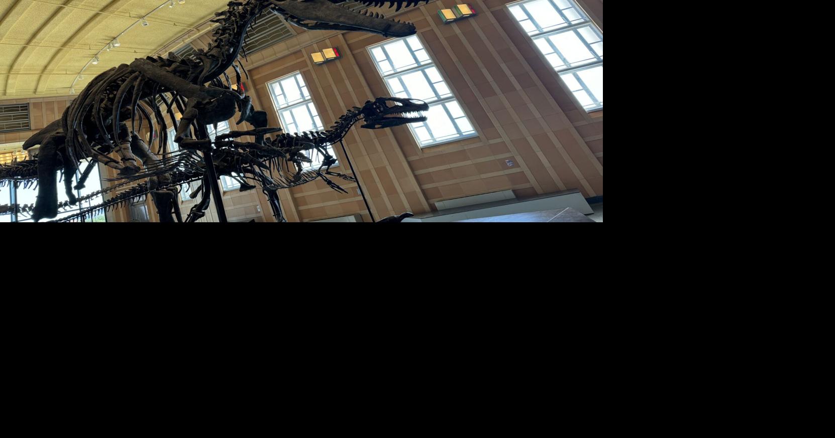Inside Cincinnati’s Museum Center | Features | newsrecord.org