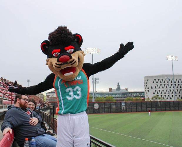 PHOTOS | University of Cincinnati baseball falls to Louisville 14-1 ...