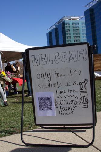 Students pack in for Succulent Farm at Sigma Sigma Commons | Gallery ...