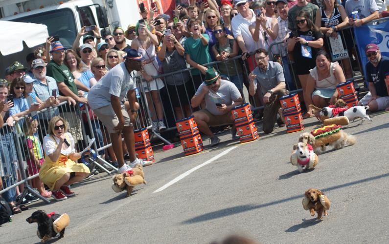 PHOTOS | Running of the Wieners at Oktoberfest Zinzinnati | Gallery ...