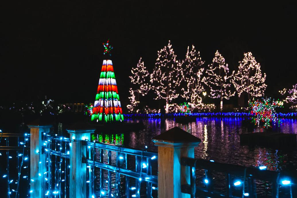 PHOTOS | Everything we saw at the 2025 Cincinnati Zoo PNC Festival of ...