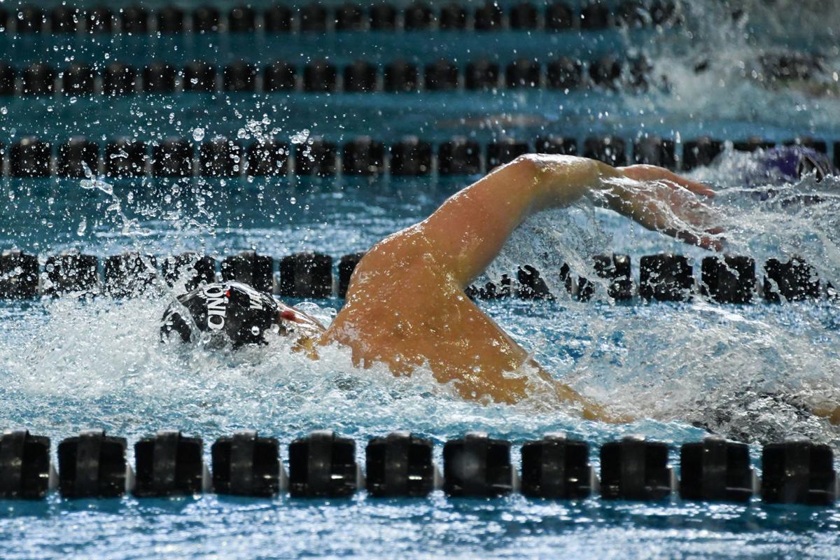 UC vs. Northwestern swim meet | Jan. 26, 2019 | Gallery | newsrecord.org