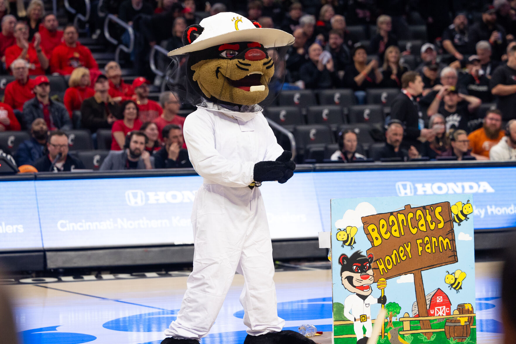 Cincinnati Bearcat headed to UCA Mascot National Championship ...