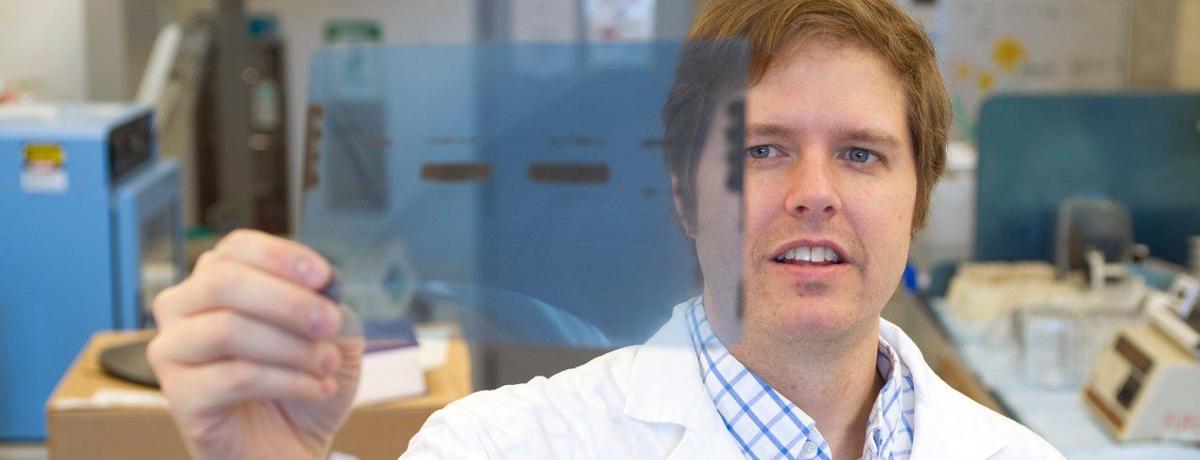 UC researcher awarded $4 million for cancer research | News ...