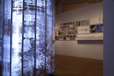 DAAP Gallery’s “Eco-Diversity” bridges technology, design, architecture ...