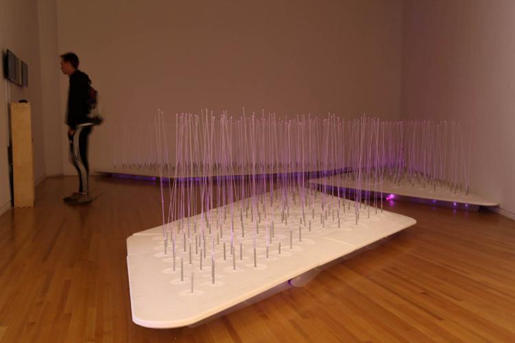 DAAP Gallery’s “Eco-Diversity” bridges technology, design, architecture ...