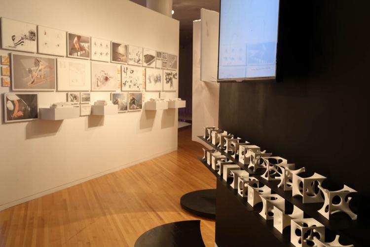 DAAP Gallery’s “Eco-Diversity” bridges technology, design, architecture ...